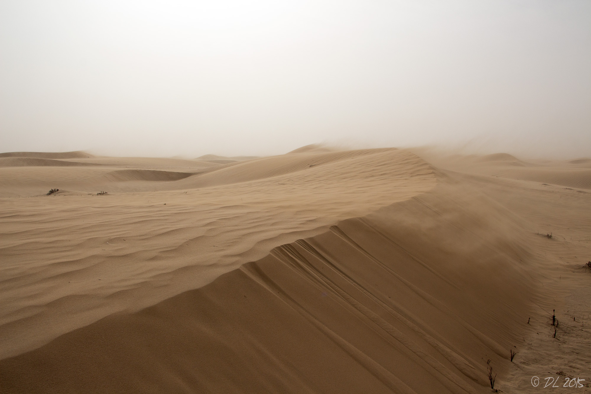 Galerie - Dubai - Divers - Didoline's Life